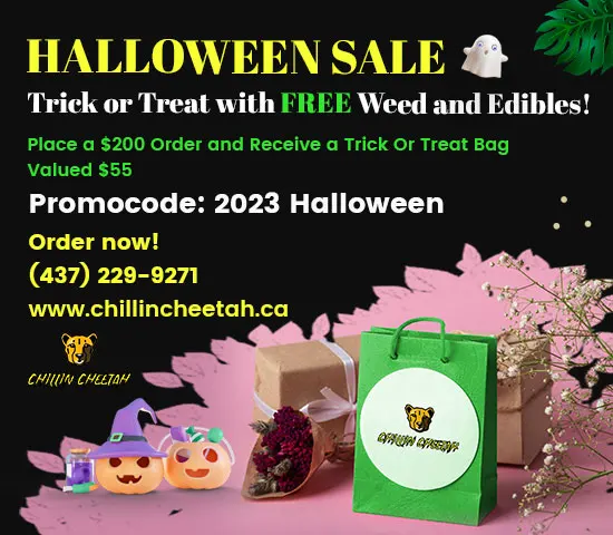 Cannabis Coupons | Chillin Cheetah